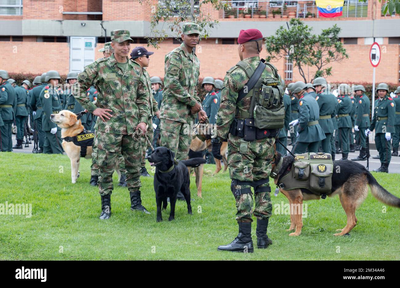 Mounted Police unit knowed as "carabineros" during colombian ...