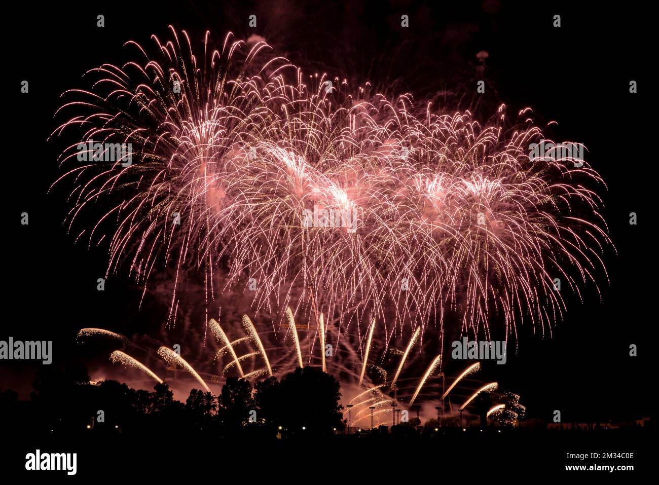 A scenic shot of the bright fireworks against the dark night sky Stock ...