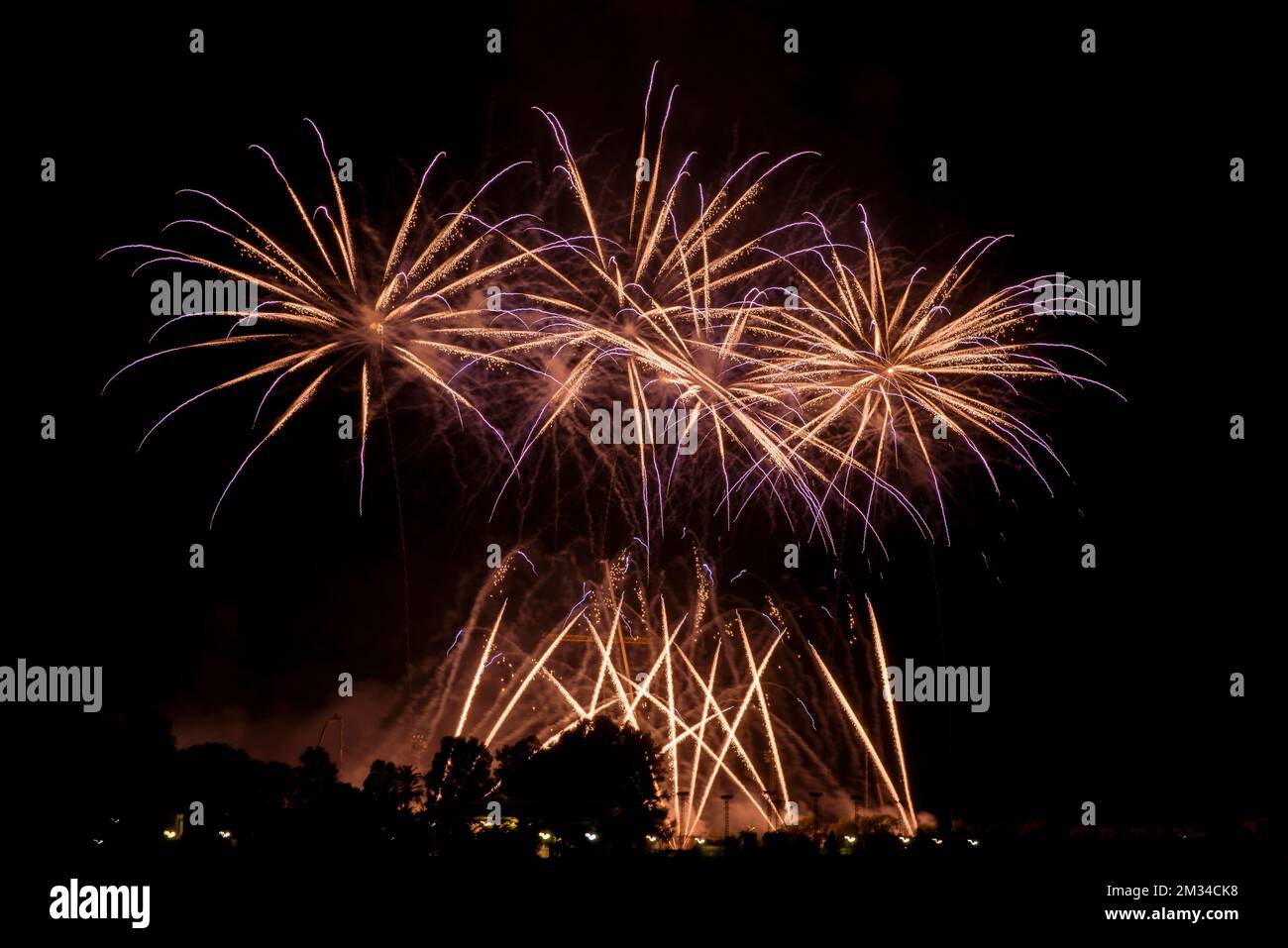 A scenic shot of the bright fireworks against the dark night sky Stock ...