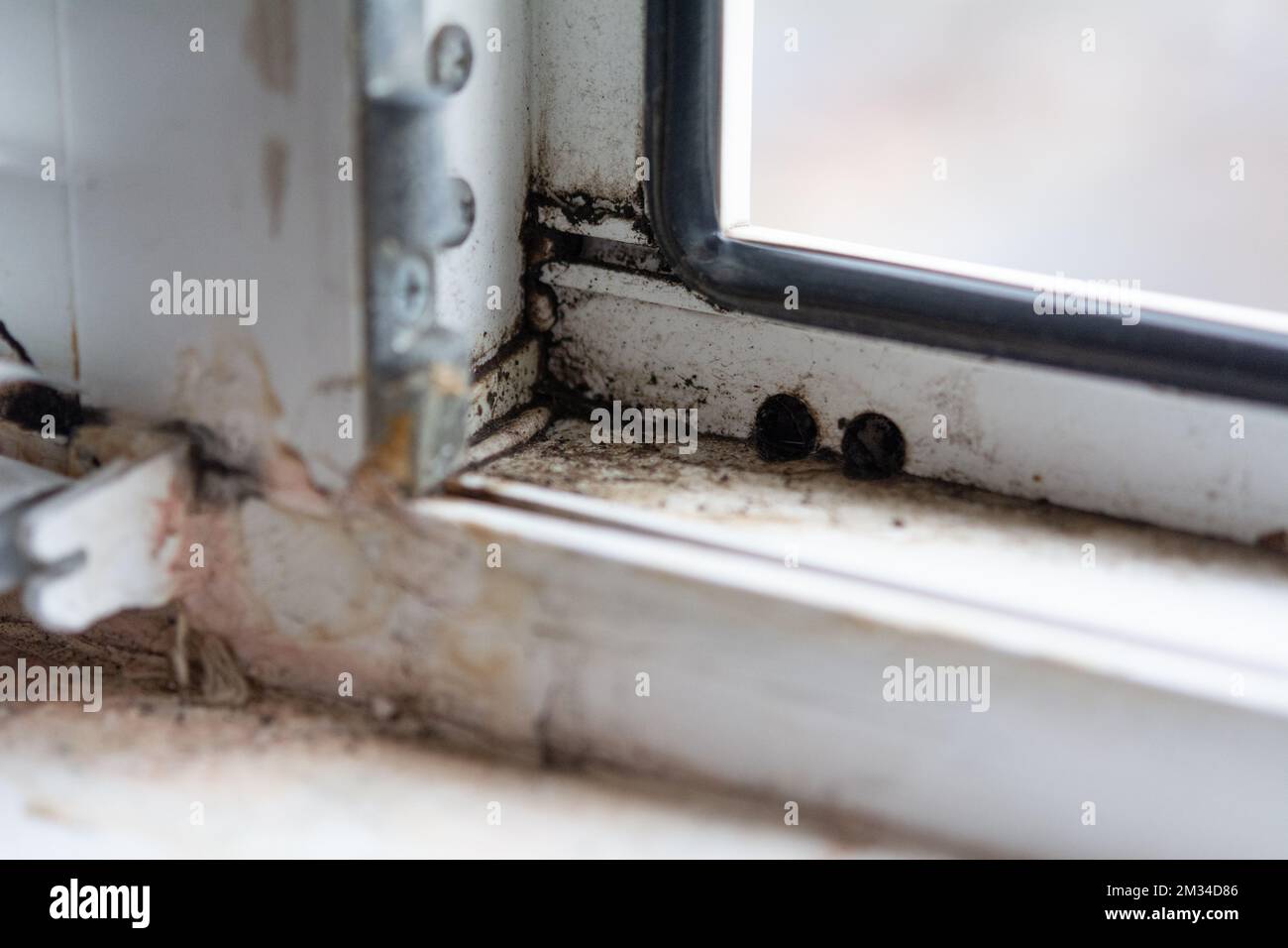 Poor quality windows. Due to poor ventilation, poor-quality ...