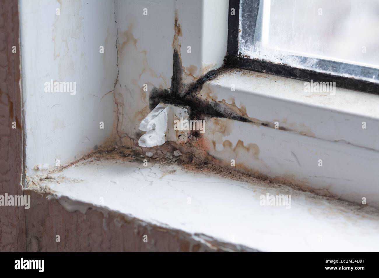 Poor quality windows. Due to poor ventilation, poor-quality ...