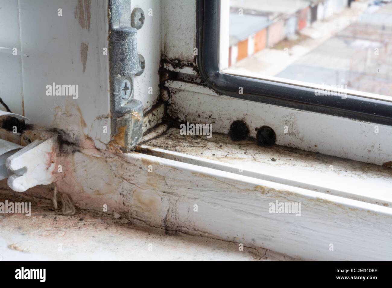 Poor quality windows. Due to poor ventilation, poor-quality ...