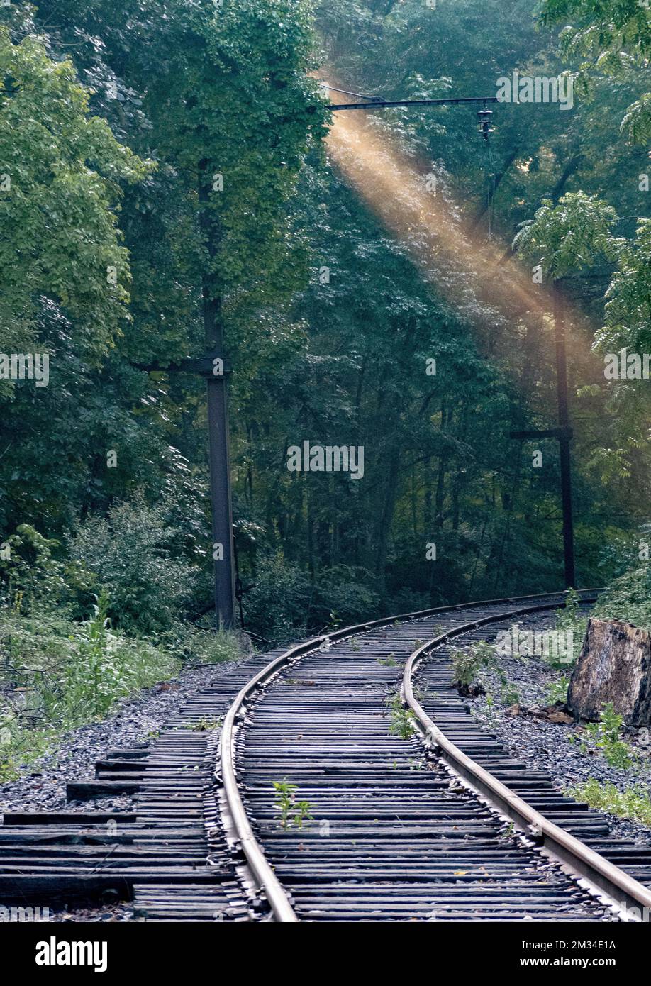 Th railroad tracks going into the woods with a ray of sunlight shining ...