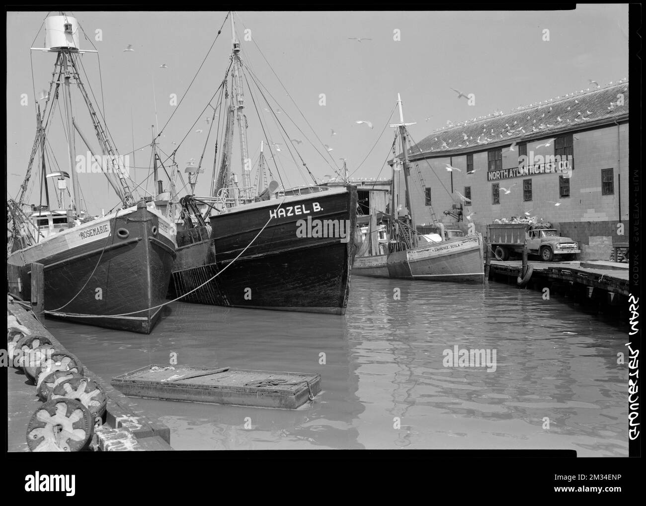 Gloucester, harbor and North Atlantic Fish Co. building , Boats ...