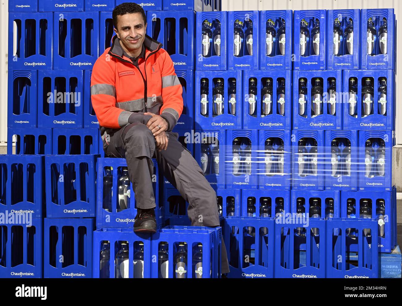 Plant portret hi-res stock photography and images - Alamy