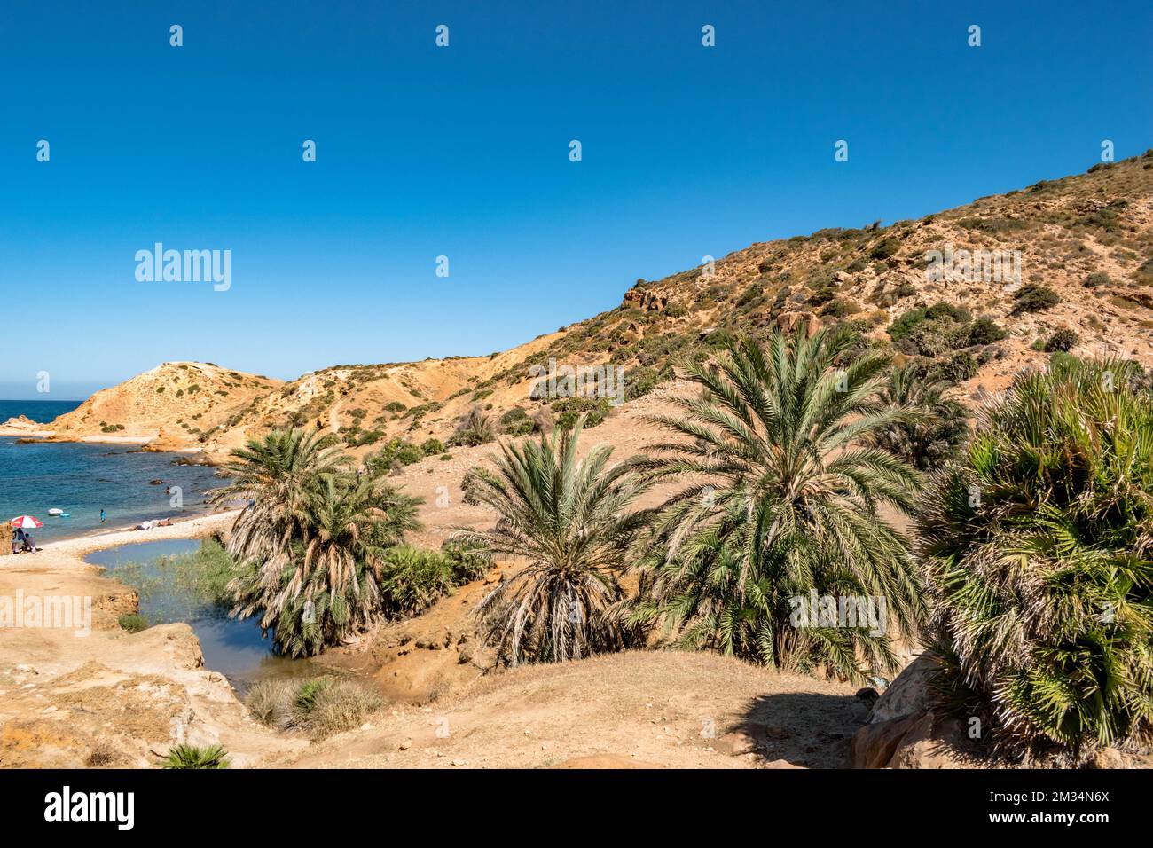 Arid sandy mountains with tropical vegetation on the coast of Korbous ...