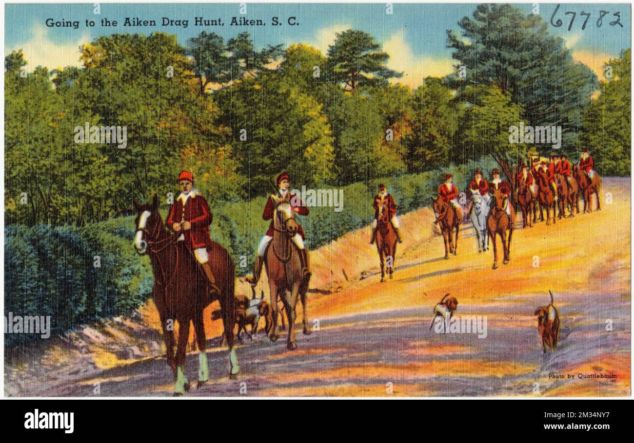 Going to the Aiken Drag Hunt, Aiken, S. C. , Tichnor Brothers ...