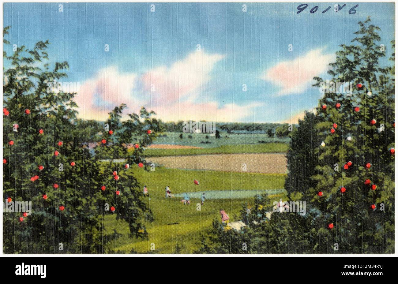 Golf at Tabor Farm is different -- orchards, vineyards add visual as ...