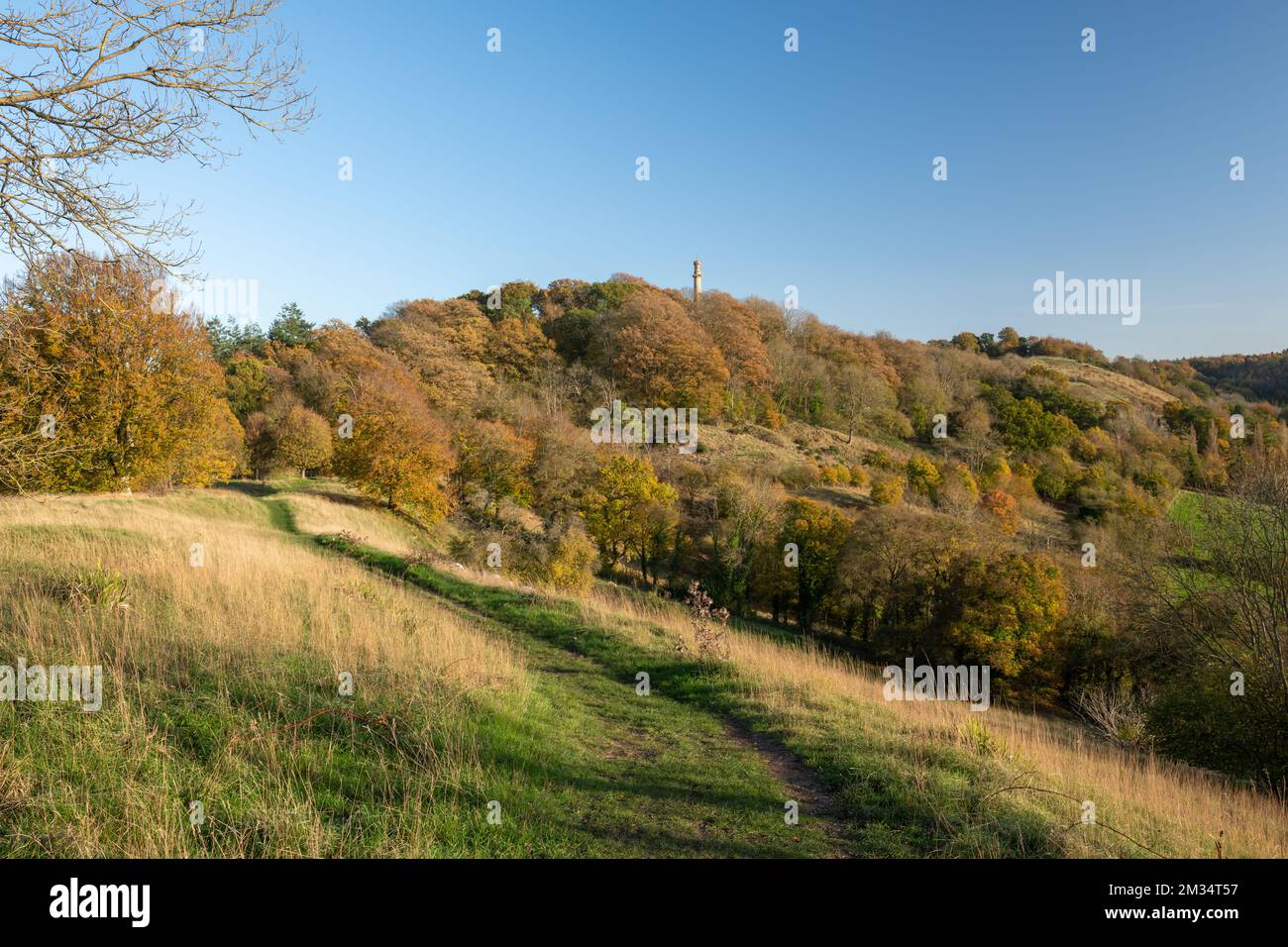 Landscape photo of the autumn colours at the Admiral Hood Monument on ...