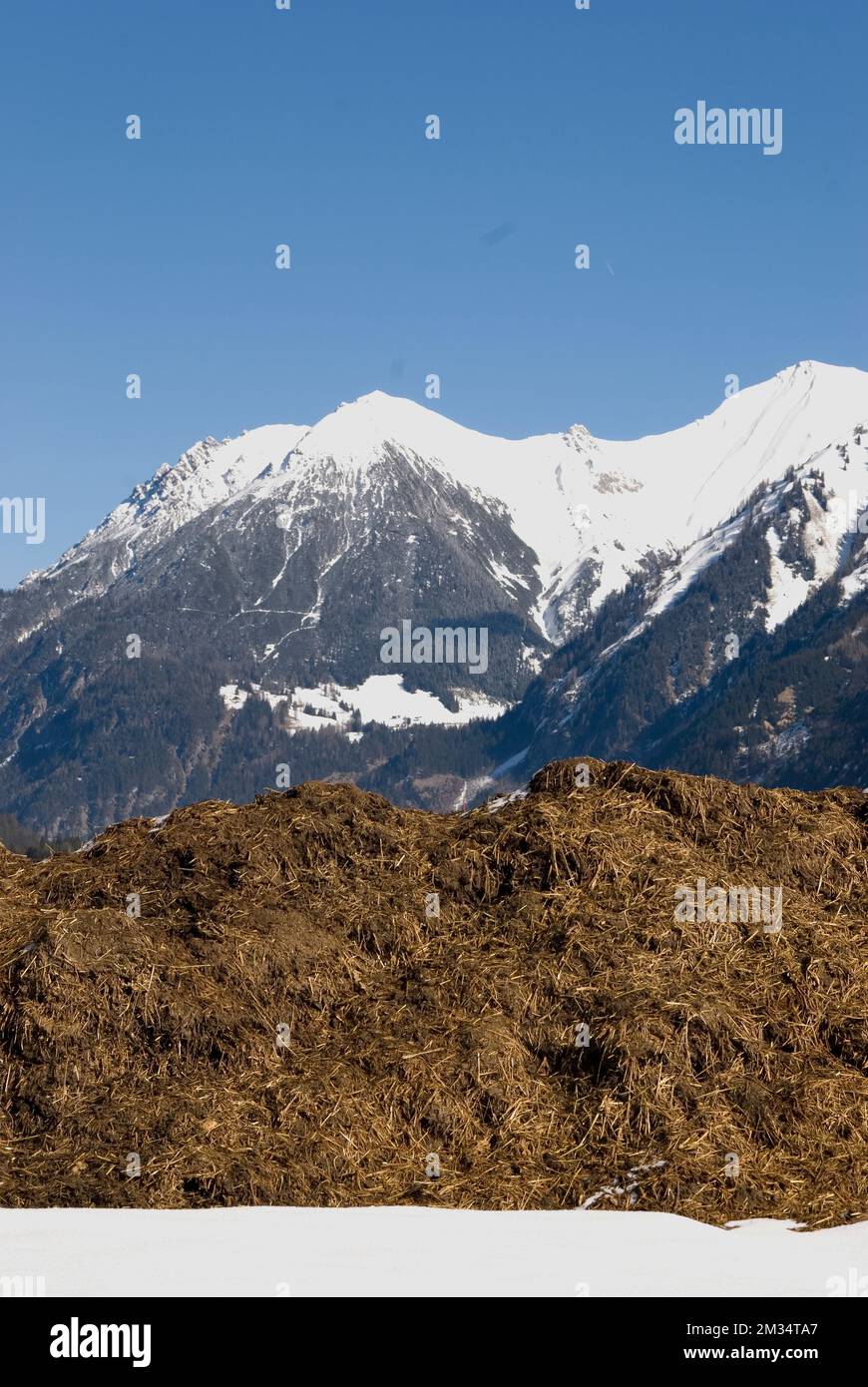 Mountains with snow and cow dung Stock Photo - Alamy