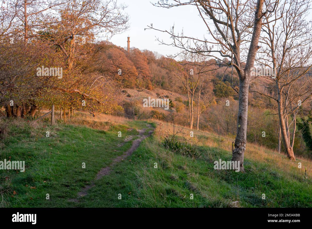Landscape photo of the autumn colors at dusk at the Admiral Hood ...