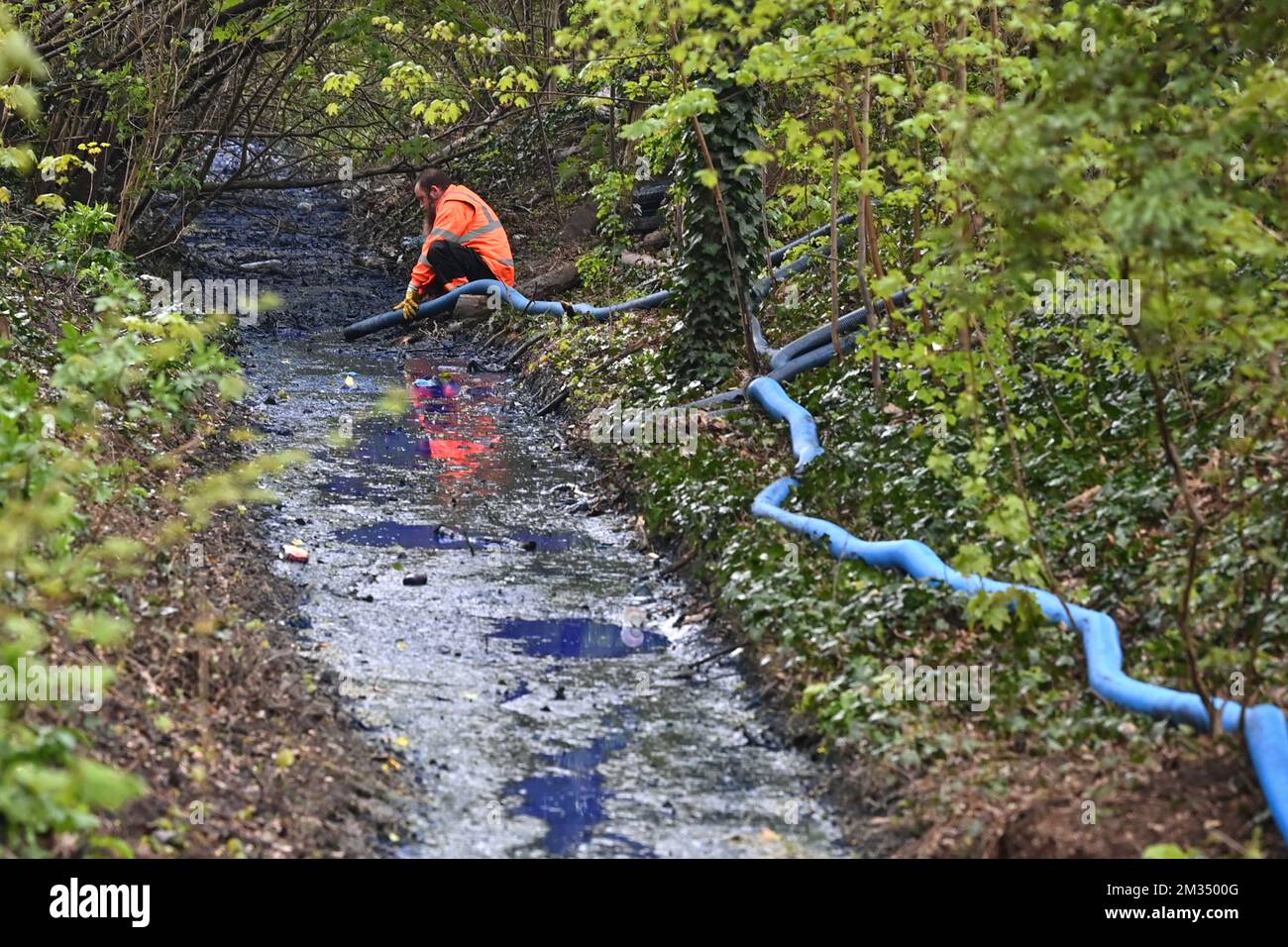 Illustration shows a stream with a blue colour after an ink accidental ...