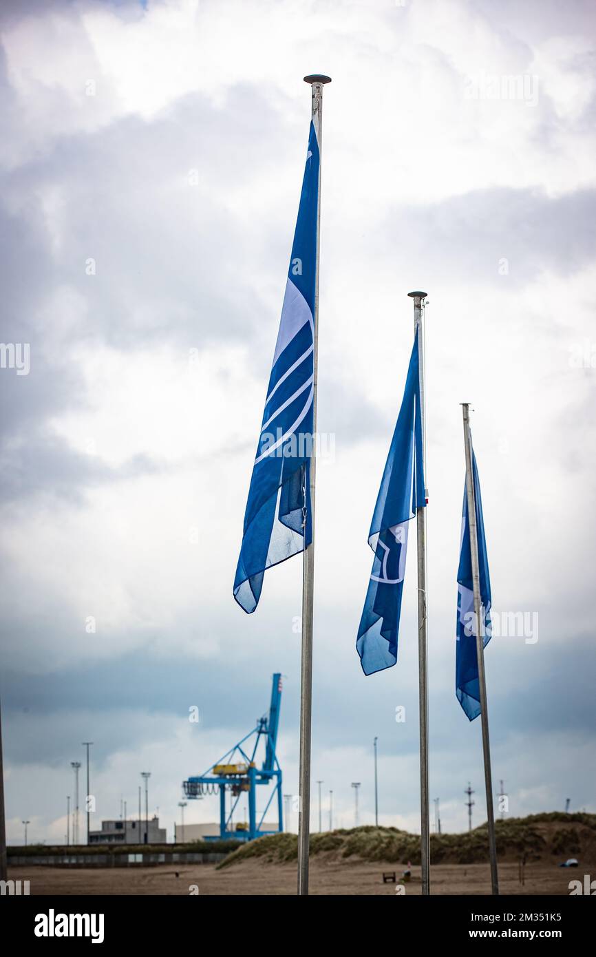 Illustration picture shows the presentation of the Belgian Blue Flags ...