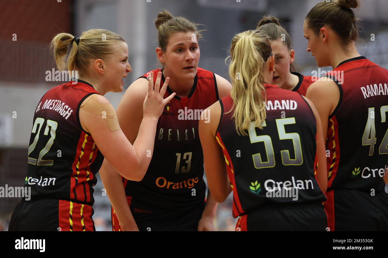 Belgian Cats Hanne Mestdagh, Belgian Cats Kyara Linskens, Belgian Cats ...