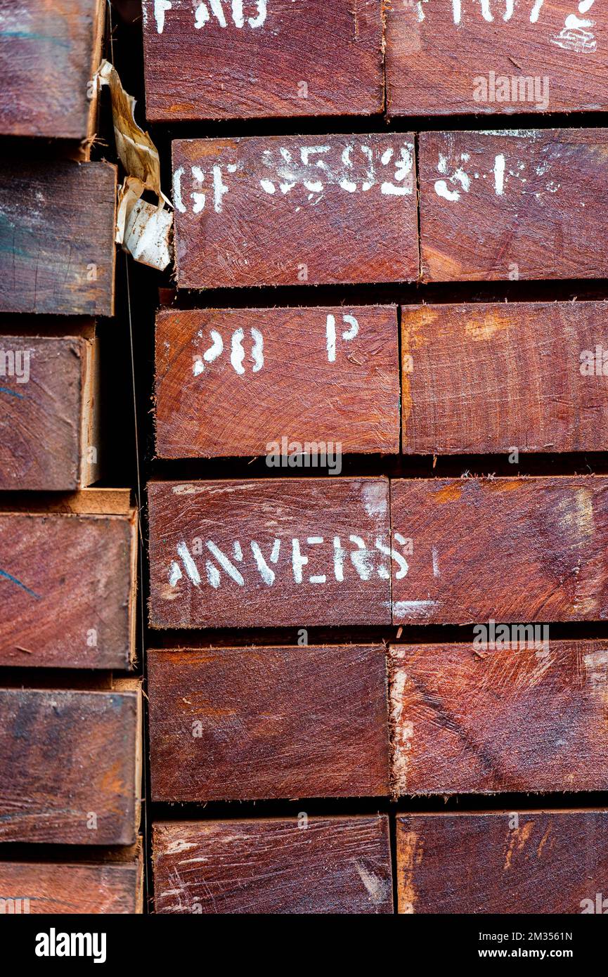 Illustration shows stacks of tropical wood at Antwerp Euroterminal AET ...