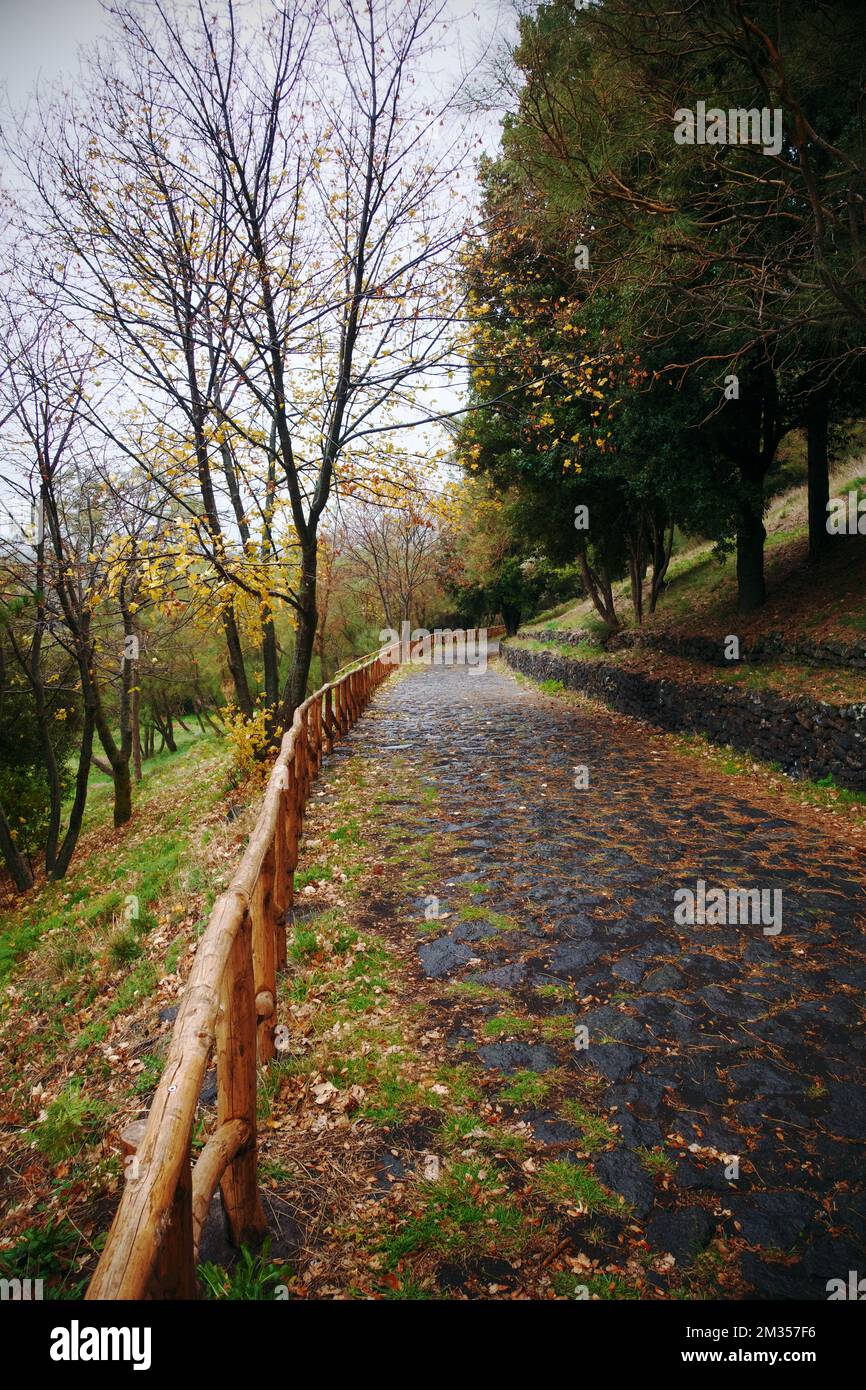 autumn woodland path after the rain in Sicily, Etna Park, Italy Stock ...