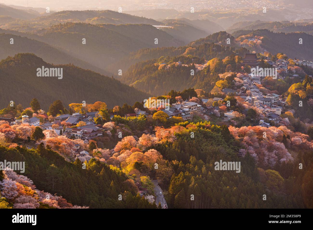 Yoshinoyama, Nara, Japan in spring season at dusk Stock Photo - Alamy