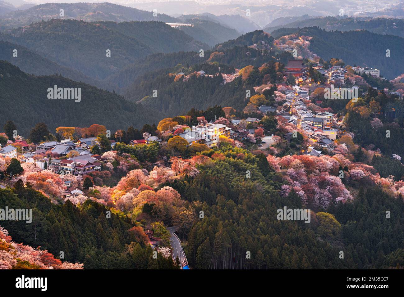 Yoshinoyama, Nara, Japan in spring season at dusk Stock Photo - Alamy