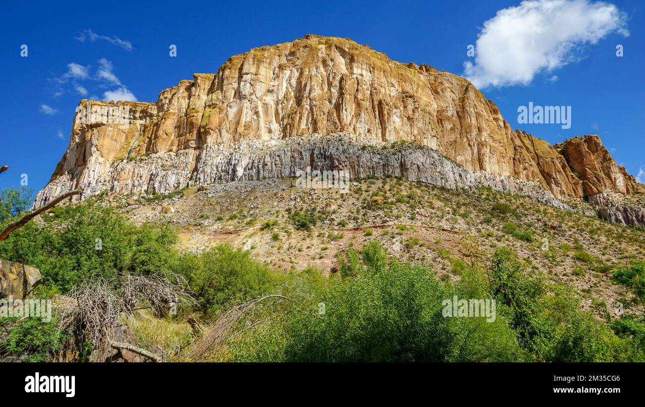 Scenery and wildlife shot in Aravaipa Canyon Wilderness Area in ...
