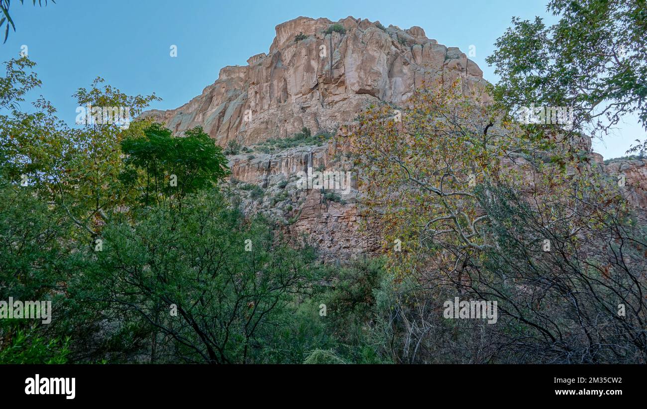 Scenery and wildlife shot in Aravaipa Canyon Wilderness Area in ...