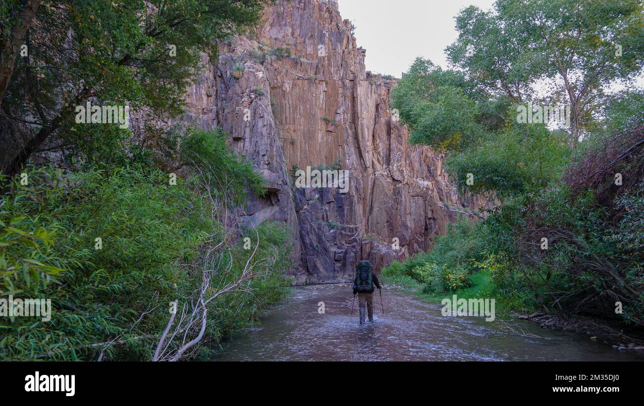 Scenery and wildlife shot in Aravaipa Canyon Wilderness Area in ...