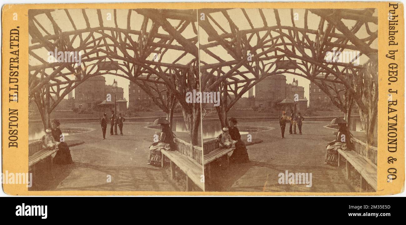 Grape arbor hi-res stock photography and images - Alamy