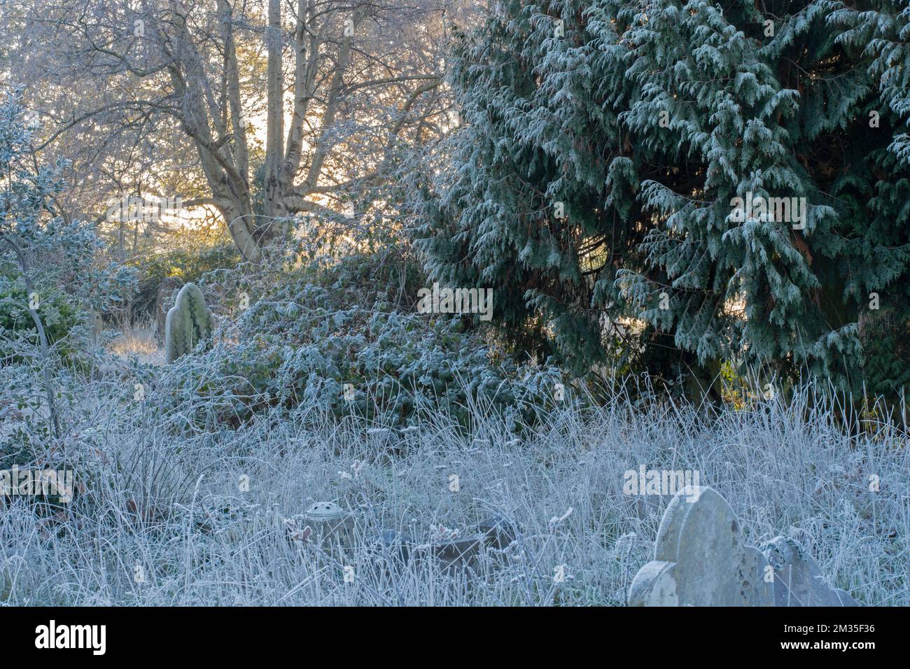 Frosty morning southampton old cemetery hi-res stock photography and ...