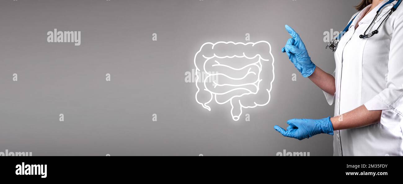 Intestine, guts, digestive health concept. Ad medical banner with guts ...