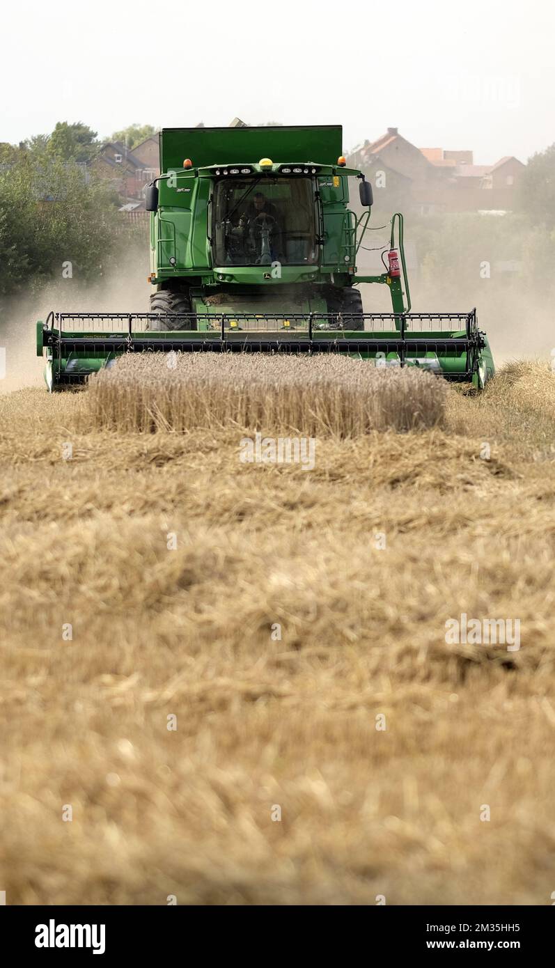 Illustration picture shows , a farmer harvest wheat in Lincent ...
