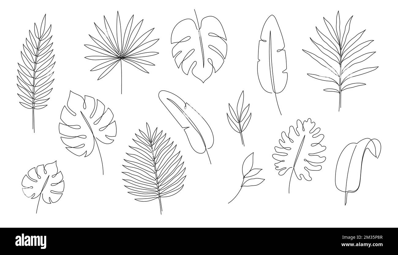 Outline tropic palm leaf set. One continuous line art tropic tree leaves. Editable stroke ...