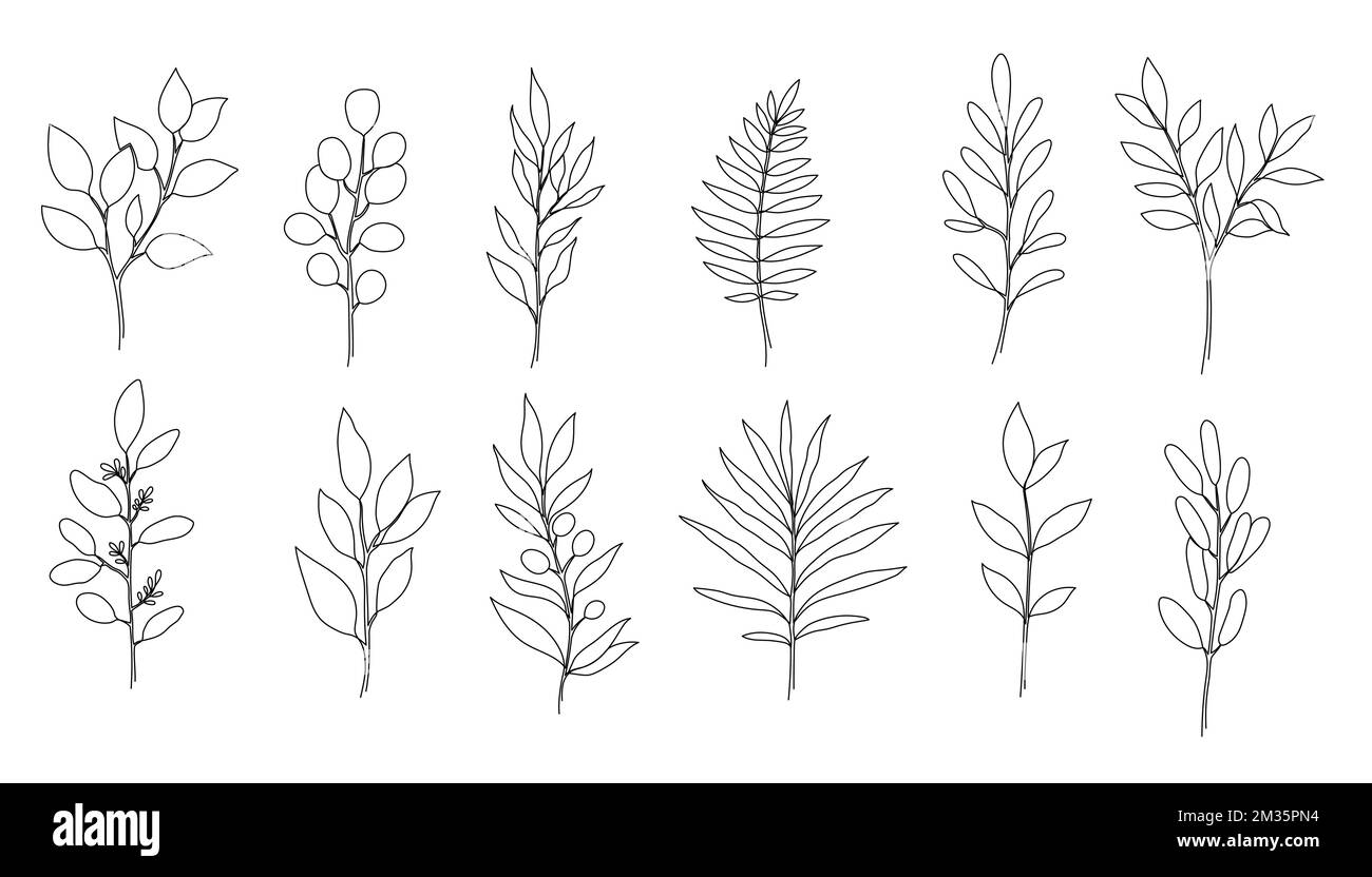 Outline boho branch, eucalyptus leaf set. One continuous line art ...