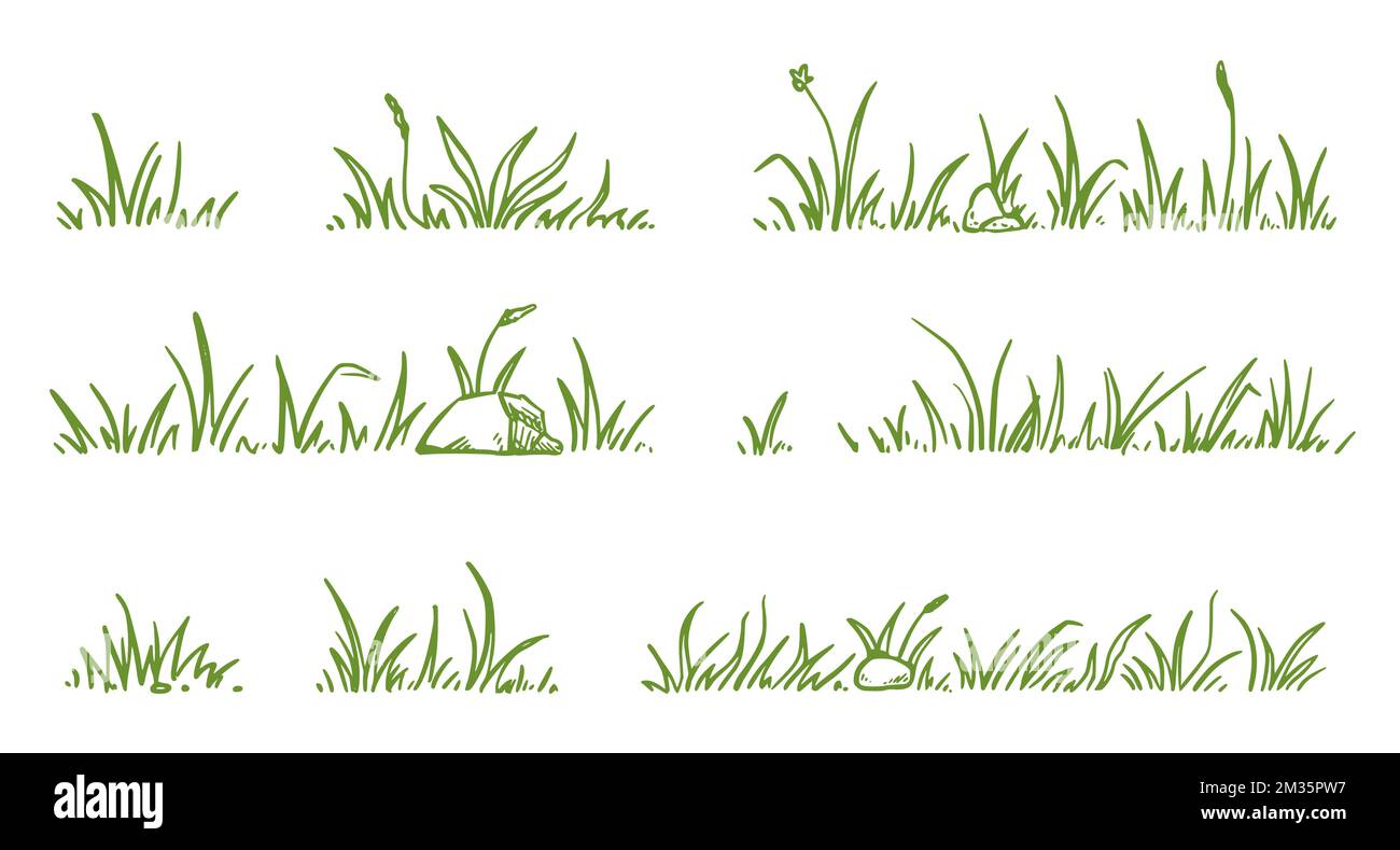 Grass doodle sketch style set. Hand drawn green grass field outline ...
