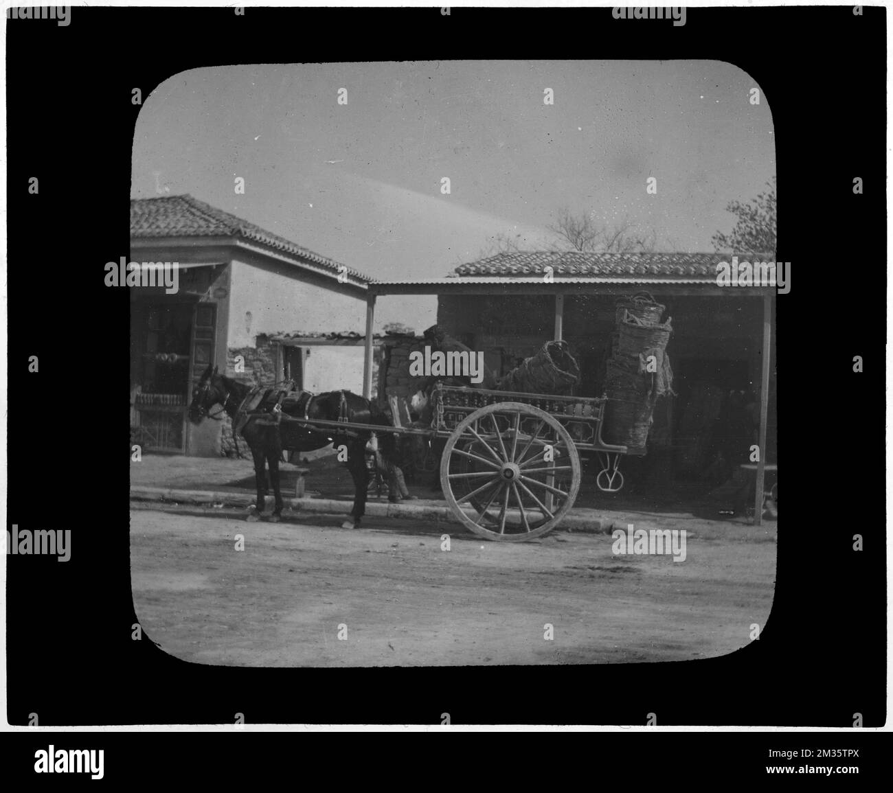 Greece. Athens. Horse & cart , Carts & wagons, Horses. Nicholas ...