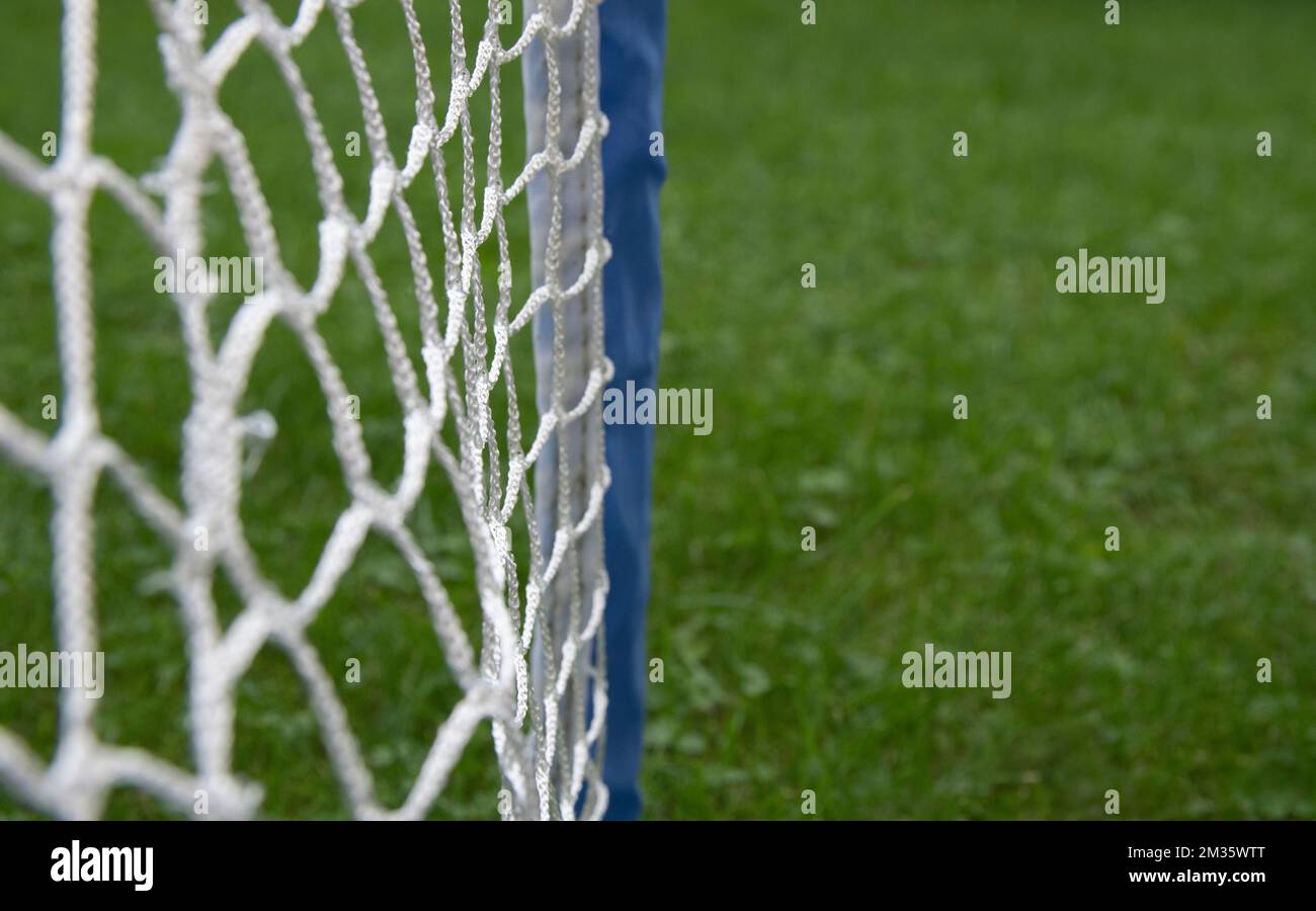 Small gates for playing football for children. Blue frame. On grass ...