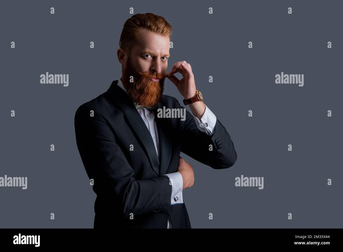 tuxedo fashion. handsome bearded man in tuxedo isolated on grey ...