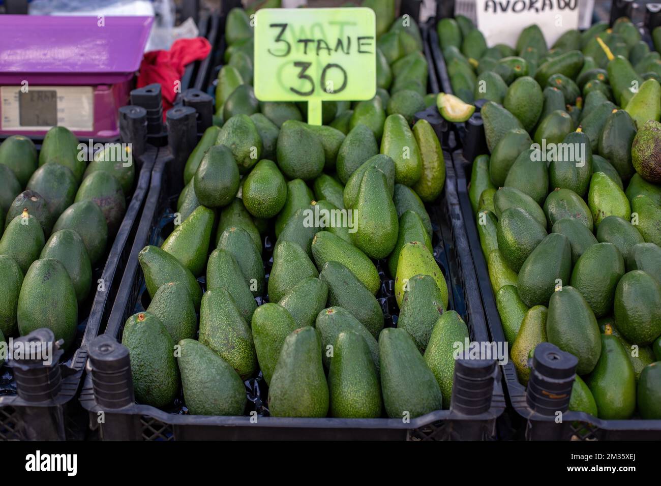 Avocados sold at a market stall. Price tag Stock Photo - Alamy