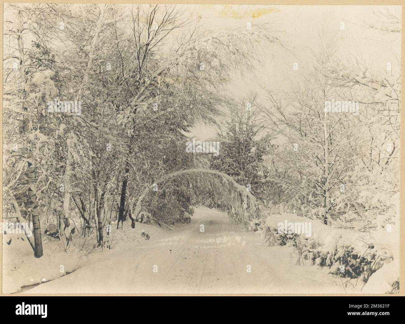 Green St. near Mr. Augustus Hemenways , Streets, Trees, Snow. The ...
