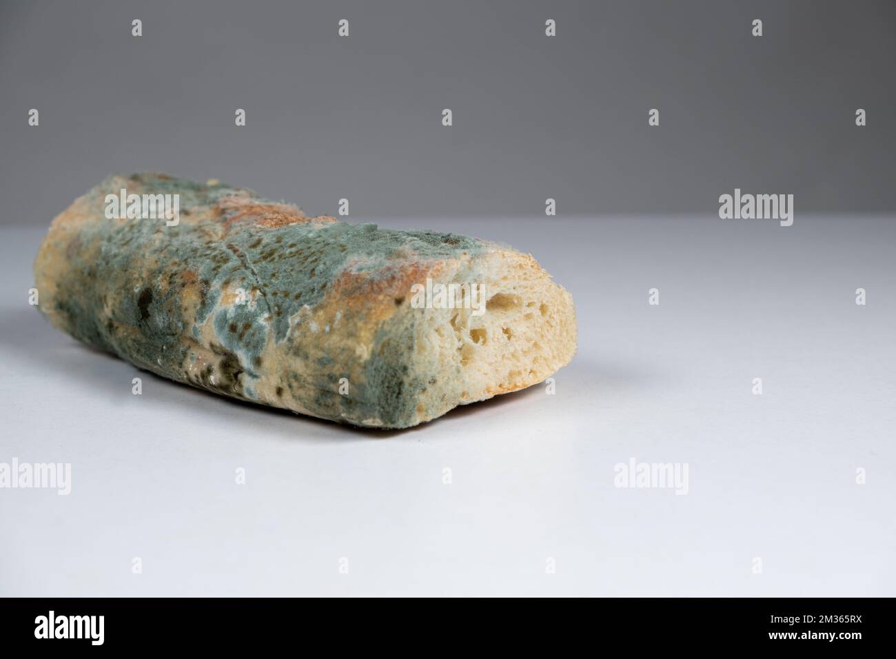 Mold on bread on a white background close-up. The danger of mold, stale ...