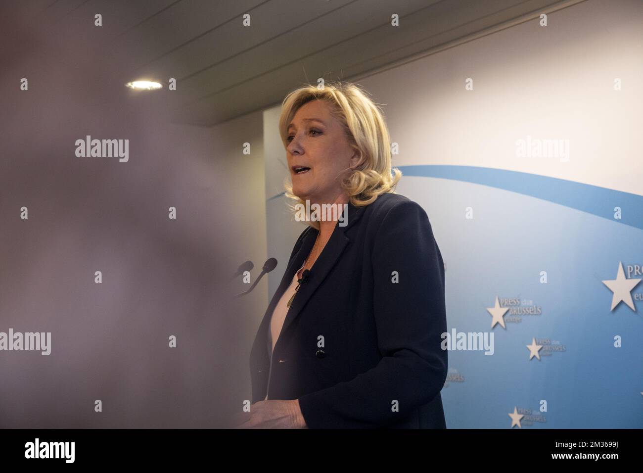 French Marine Le Pen, chairwoman of the Rassemblement National (RN ...