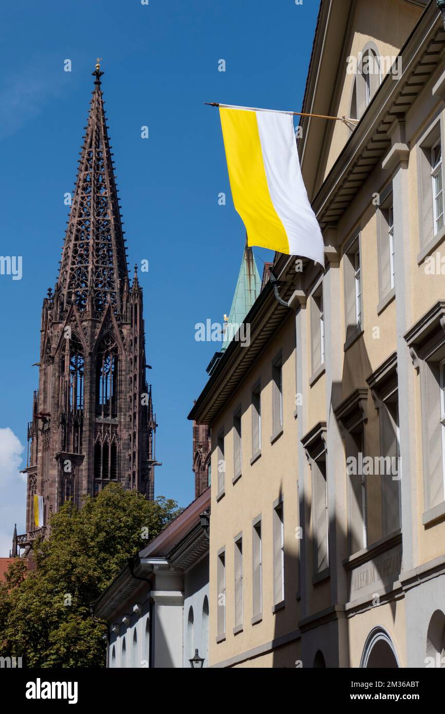 A vertical shot of the Freiburger Munster cathedral and the flag of the ...