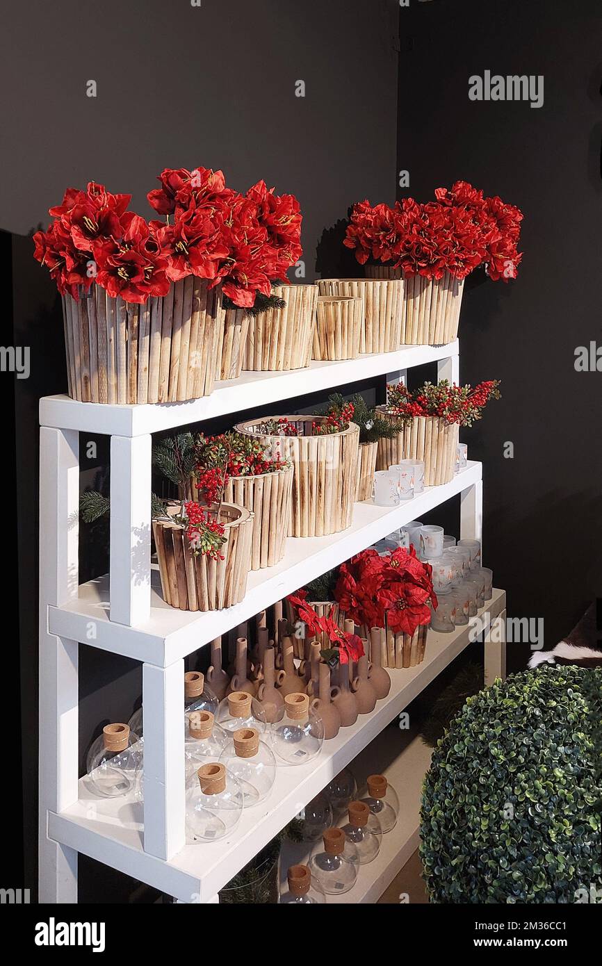 Red flowers in straw pots in an elegant color match against a dark ...