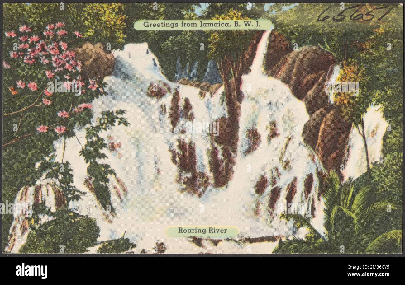 Roaring river jamaica hi-res stock photography and images - Alamy