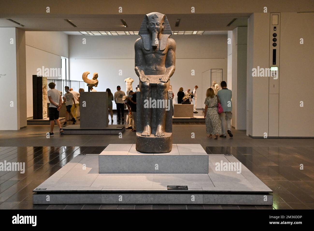 Illustration picture shows museum display cases constructed by Flemish ...