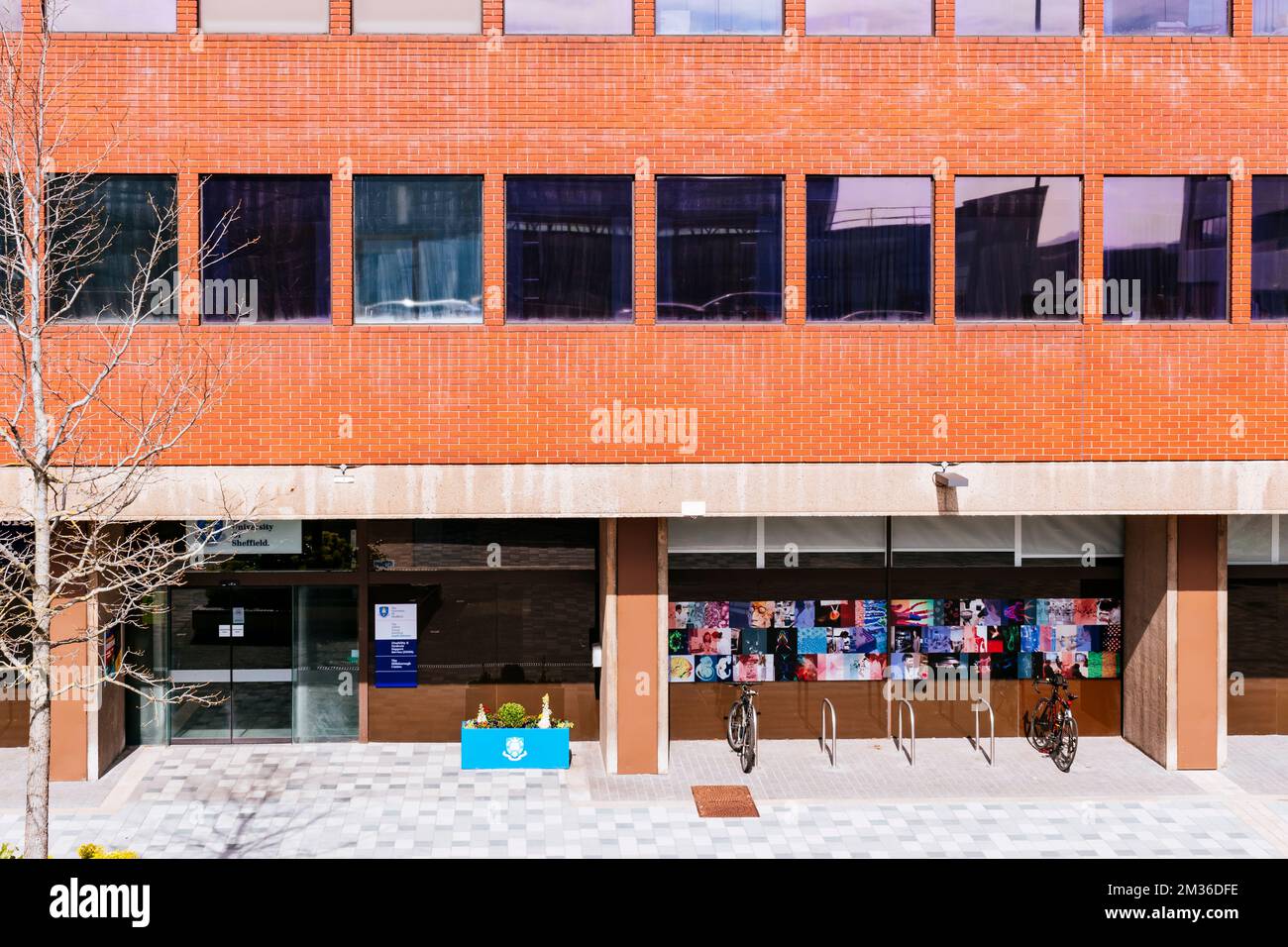 The Alfred Denny Building is a 7-storey red brick building in Sheffield ...