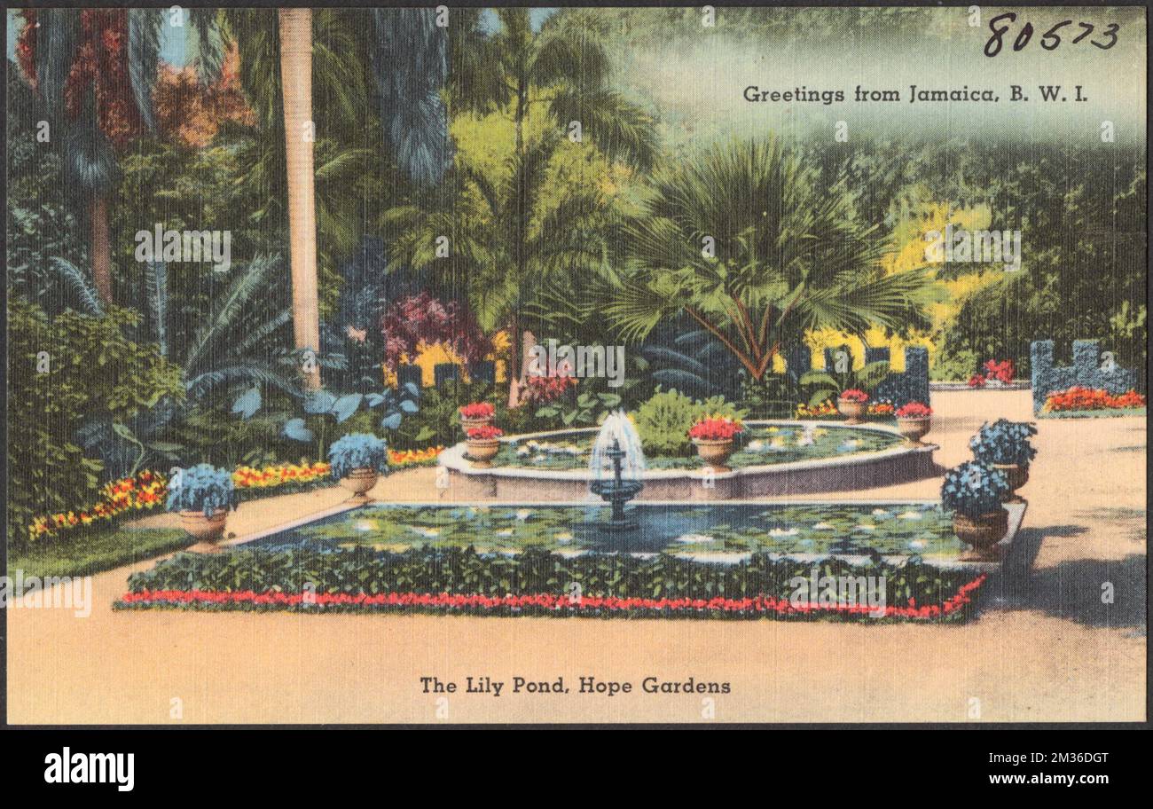 Hope botanical gardens jamaica hi-res stock photography and images - Alamy