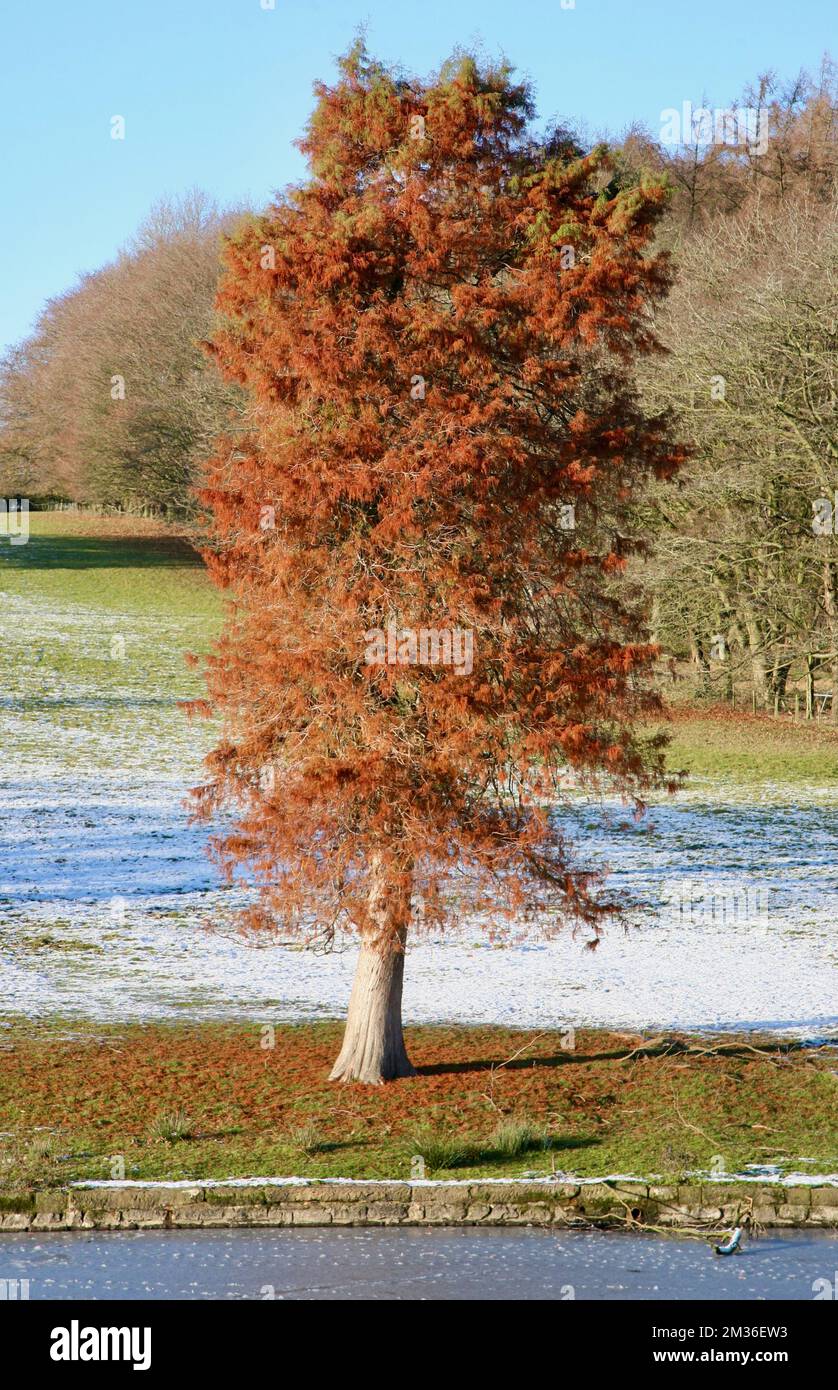 British landscapoe hi-res stock photography and images - Alamy