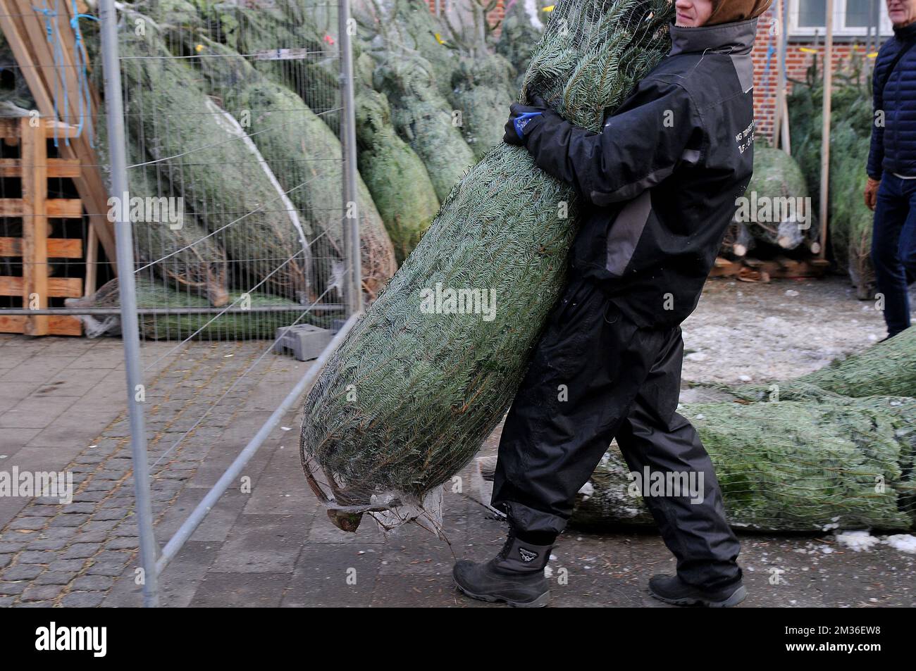 Copenhagen/Denmark/14 December 2022/ Christmas tree vendor markets ...