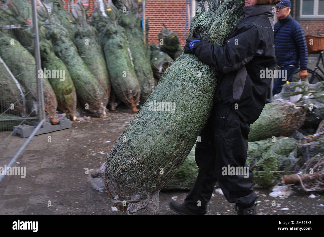 Copenhagen/Denmark/14 December 2022/ Christmas tree vendor markets ...