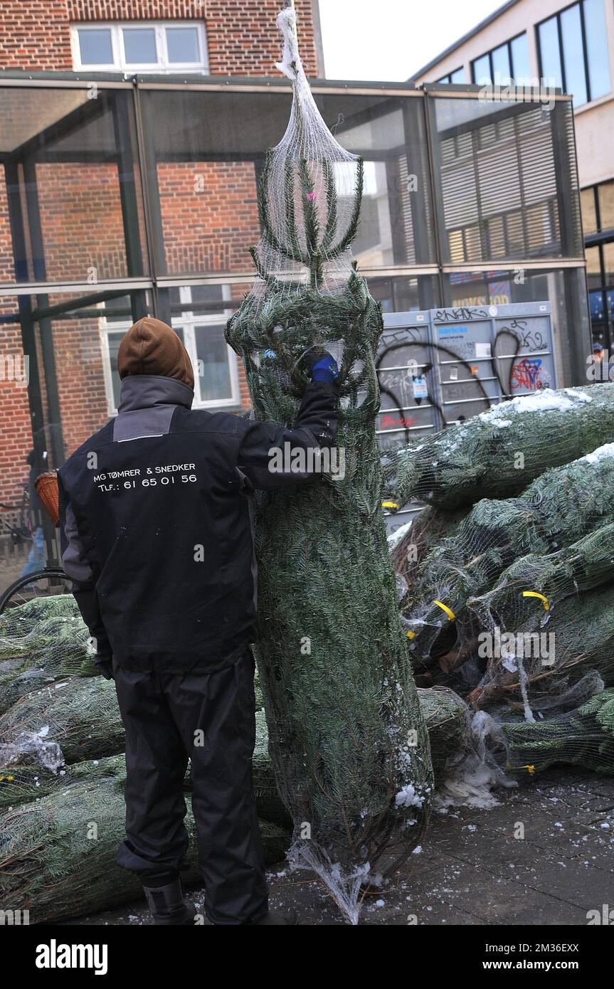 Copenhagen/Denmark/14 December 2022/ Christmas tree vendor markets ...
