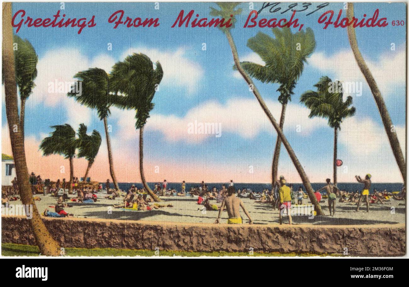 Greetings from Miami beach, Florida , Beaches, Tichnor Brothers ...